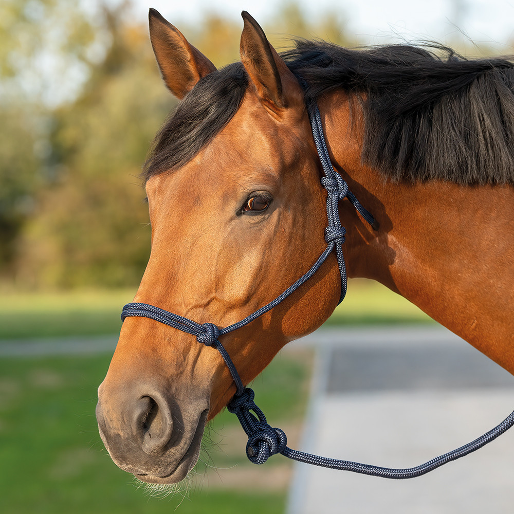 LICOL CORDE 10 MM + LONGE Equip'Horse