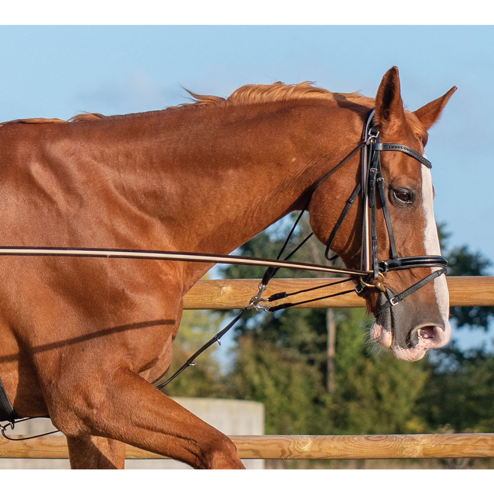 ENRÊNEMENT GOGUE À POULIES Equip'Horse