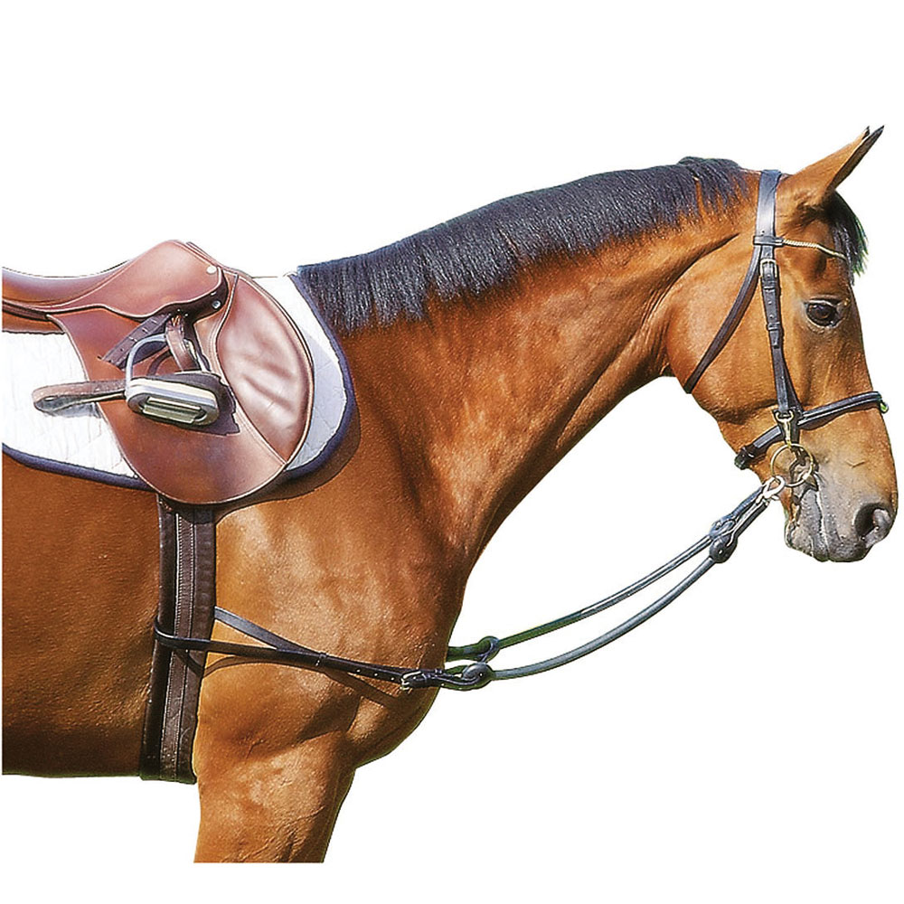 ENRÊNEMENT PIRELLI Equip'Horse